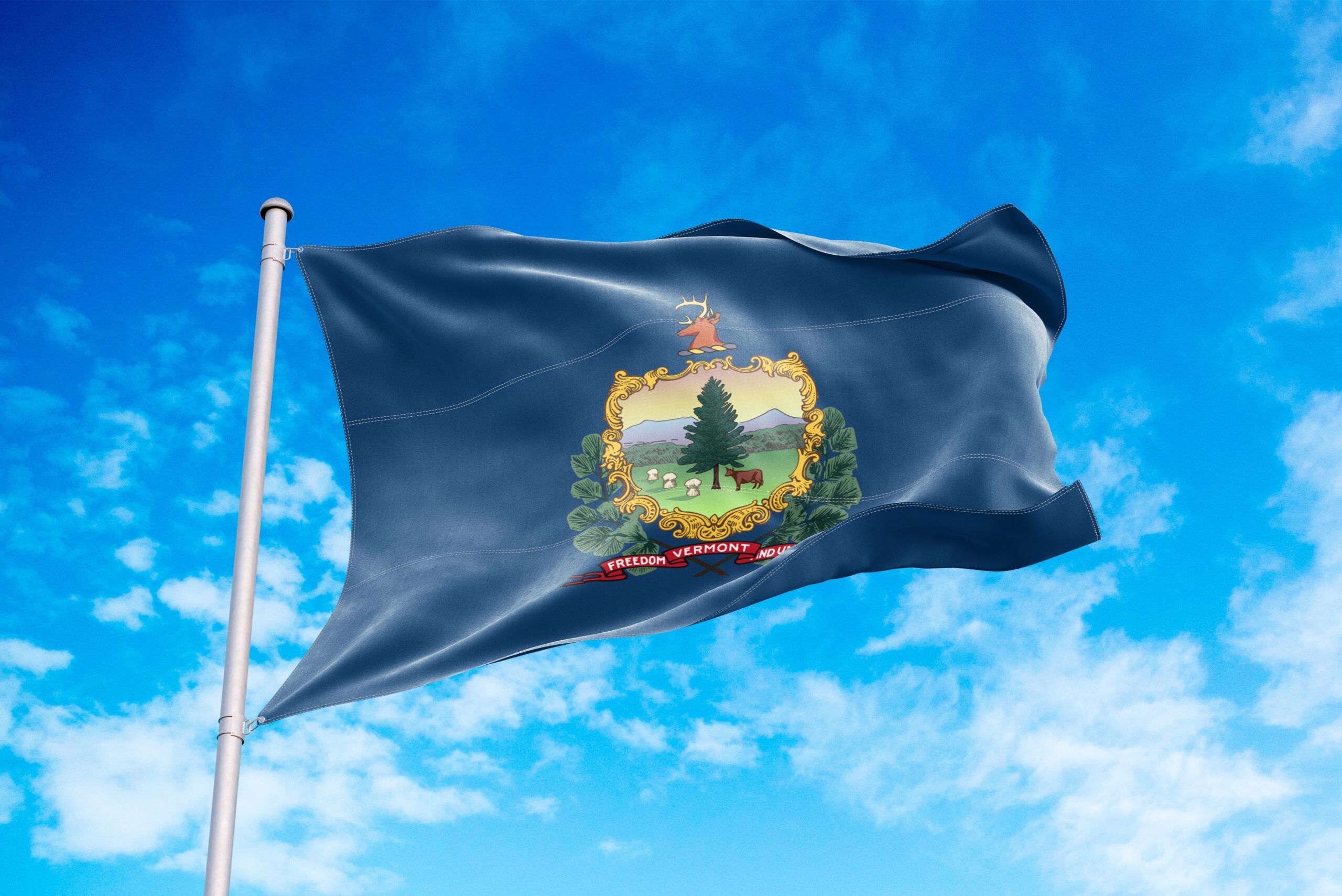 Perseverance Pays Off for Vermont Privacy Efforts